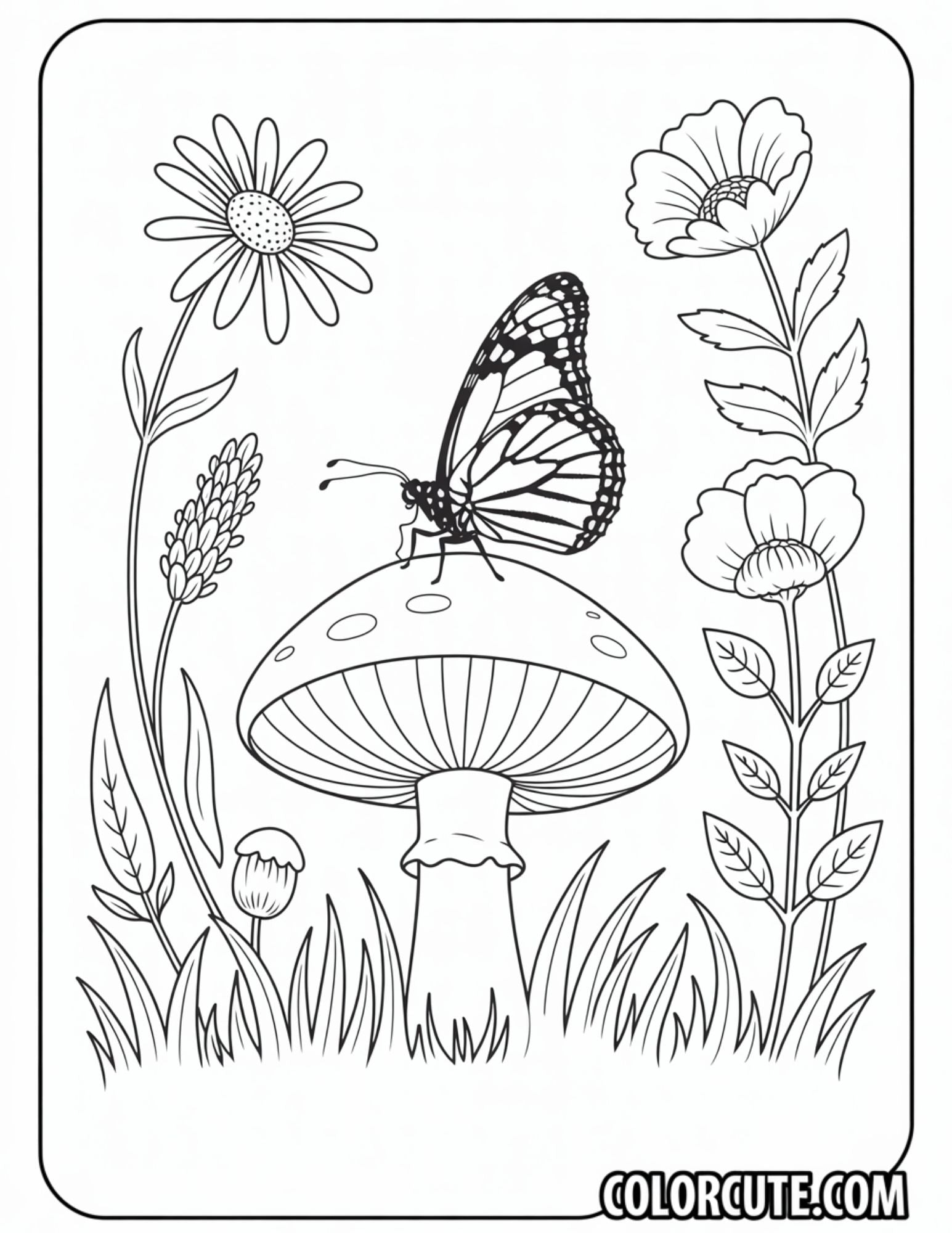 Mushroom and Butterfly Coloring Pages | Free PDF Printables – Color ...