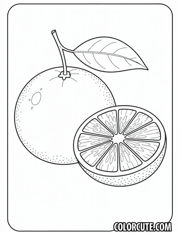 Orange Coloring Page | Free PDF Printables – Color Cute - Free Coloring ...