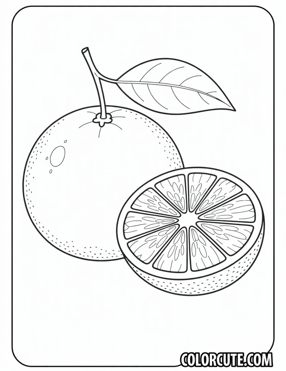 Orange Coloring Page | Free PDF Printables – Color Cute - Free Coloring ...