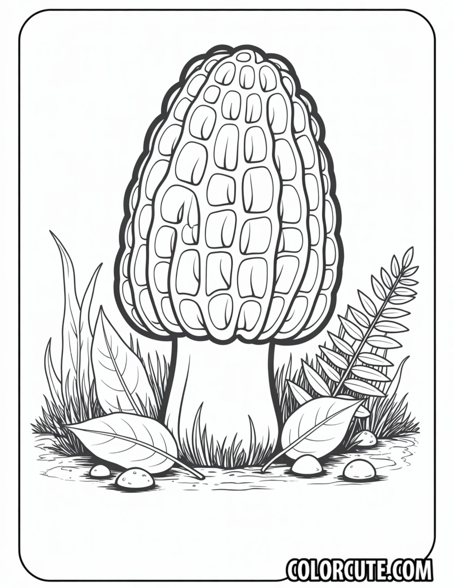 Morel Mushroom Coloring Pages | Free PDF Printables – Color Cute - Free ...