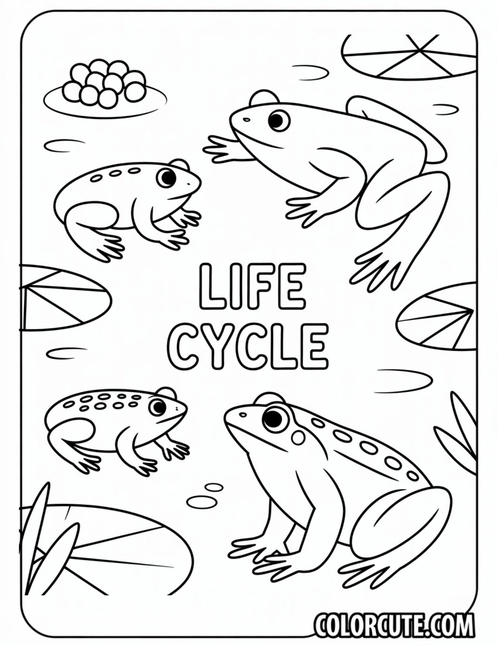 Life Cycle Frog Coloring Pages | Free PDF Printables – Color Cute ...