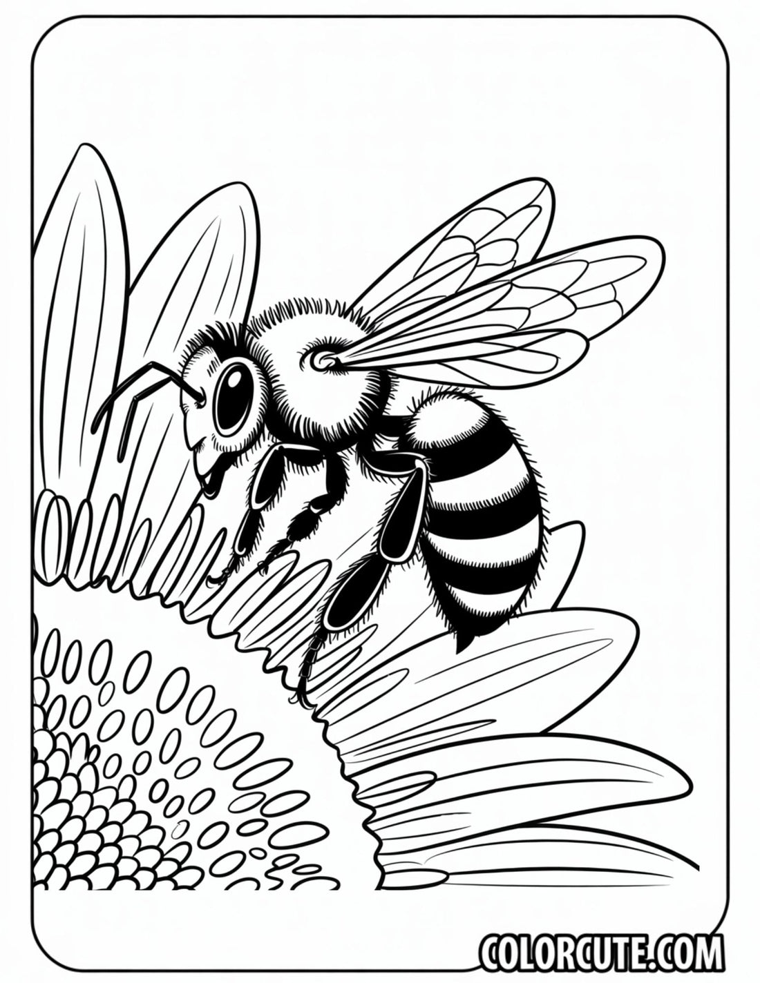 Preschool Bee Coloring Page – Free PDF Printables – Color Cute - Free ...