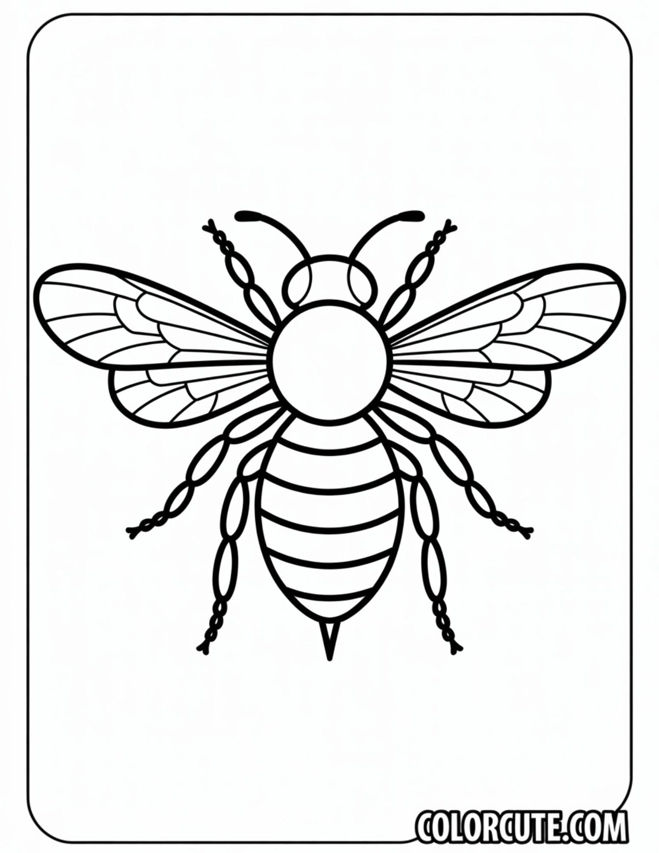 Adult Bee Coloring Page – Free PDF Printables – Color Cute - Free ...