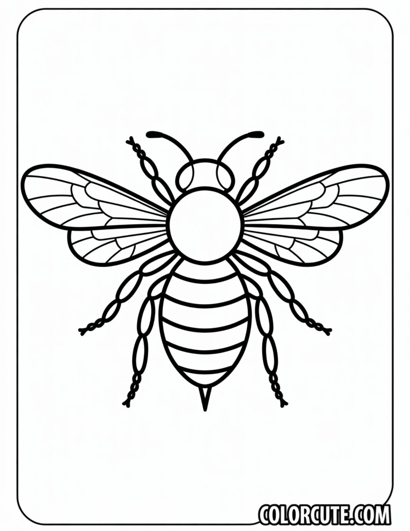 Adult Bee Coloring Page – Free PDF Printables – Color Cute - Free ...
