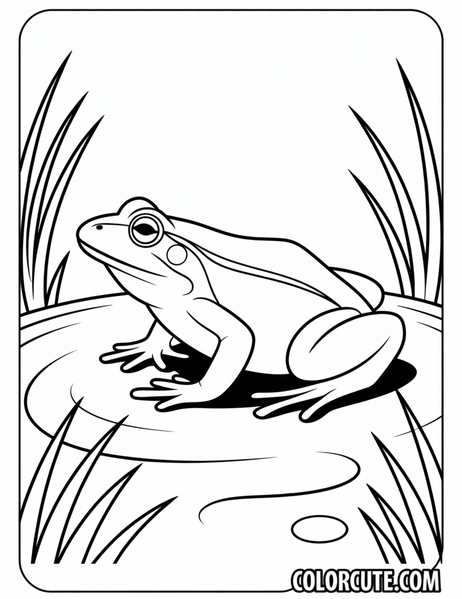 Realistic Frog Coloring Pages | Free PDF Printables – Color Cute - Free ...