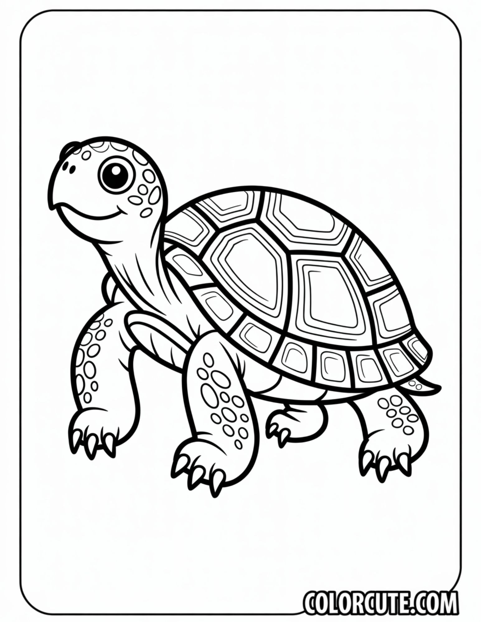 Adult Turtle Coloring Pages | Free PDF Printables – Color Cute - Free ...