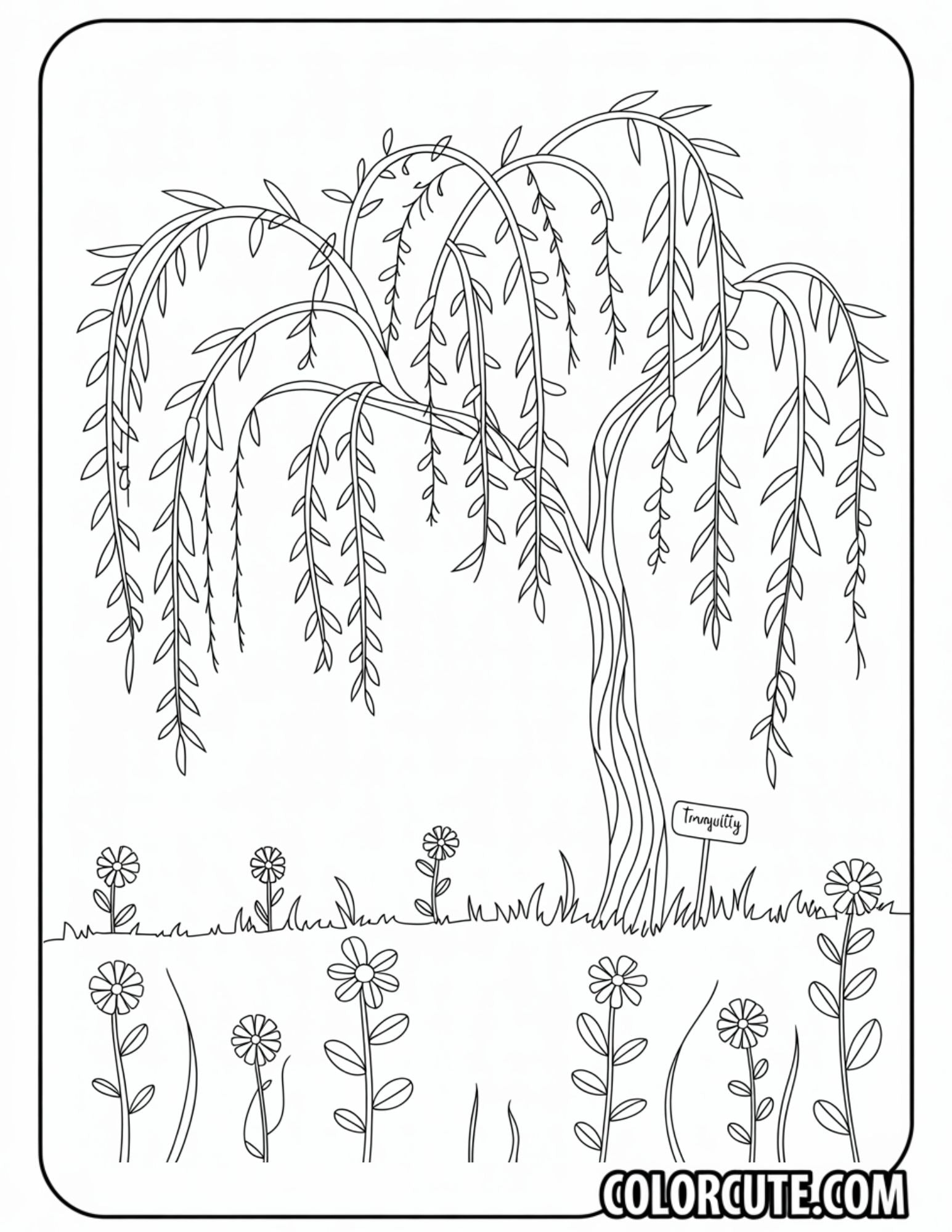 Willow Tree Coloring Pages - Free PDF Printables – Color Cute - Free ...