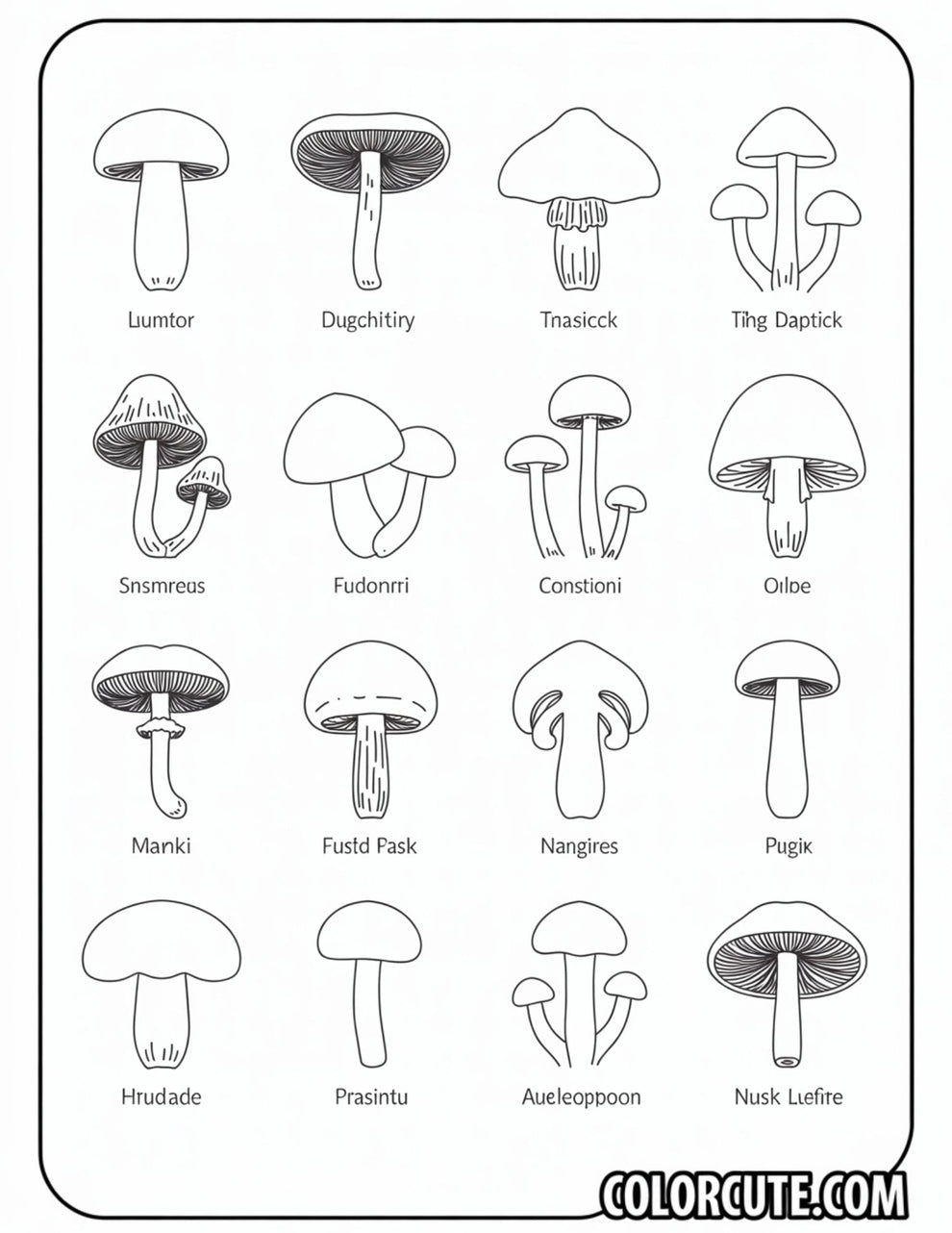 Fungi Species Coloring Pages | Free PDF Printables – Color Cute - Free ...