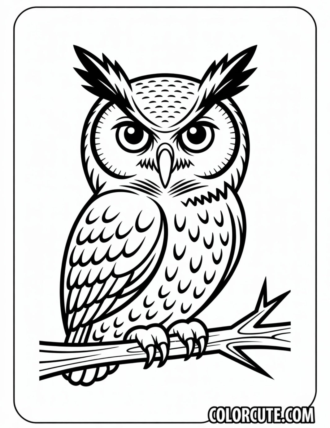 28+ Free Owl Coloring Pages - Wise Bird PDF Printables – Color Cute ...