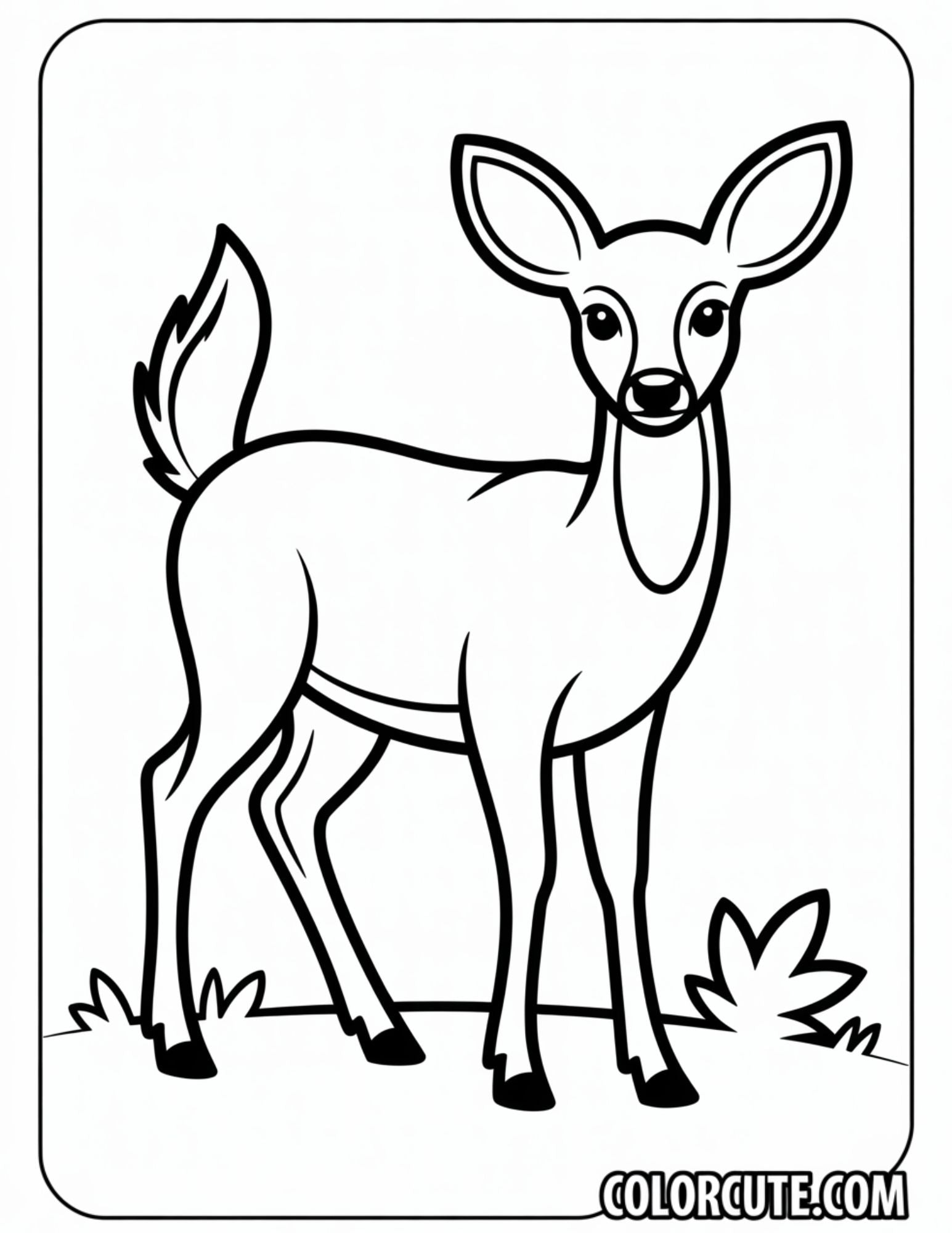 Fawn Deer Coloring Pages - Free PDF Printables – Color Cute - Free ...