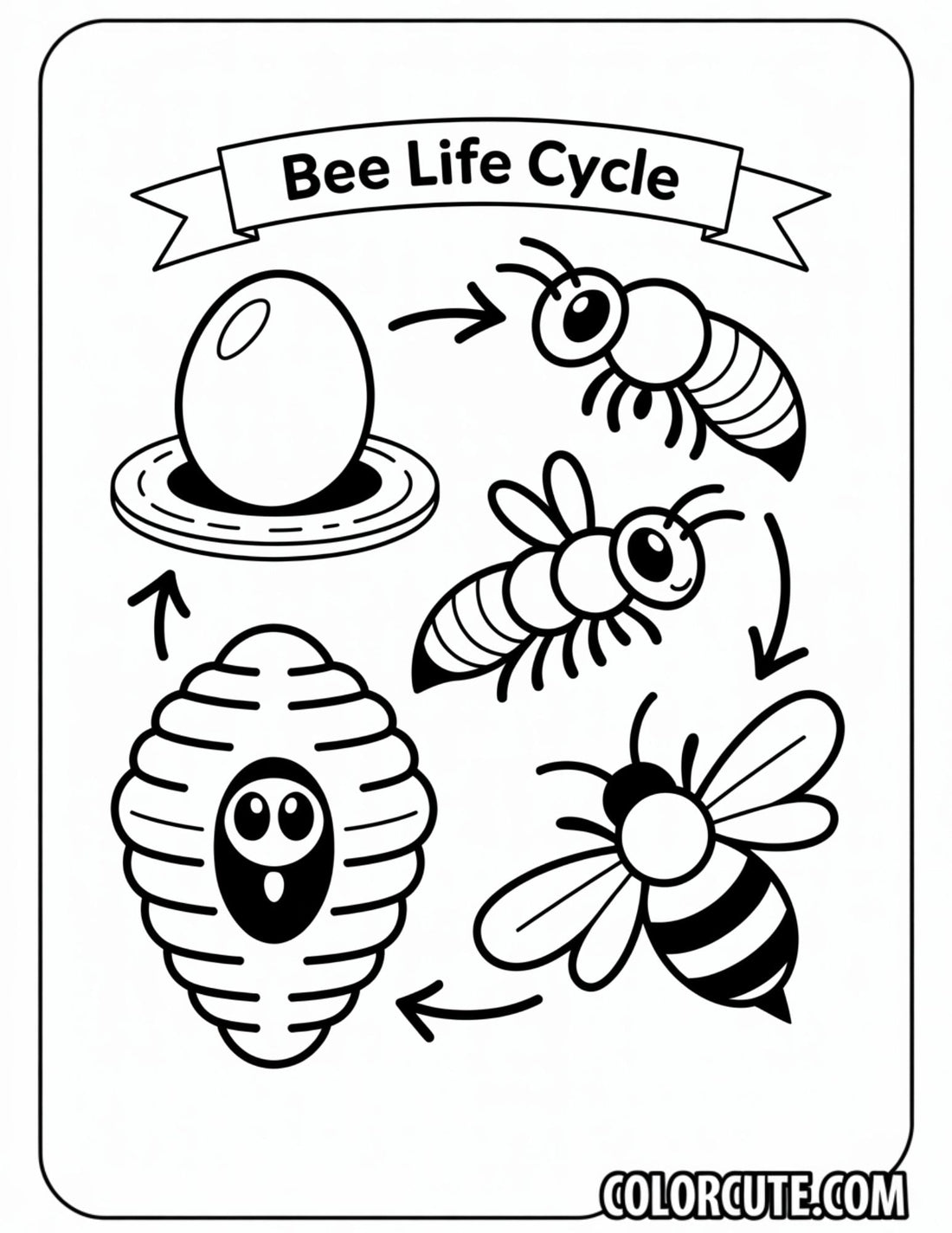 Bee Life Cycle Coloring Page – Free PDF Printables – Color Cute - Free ...