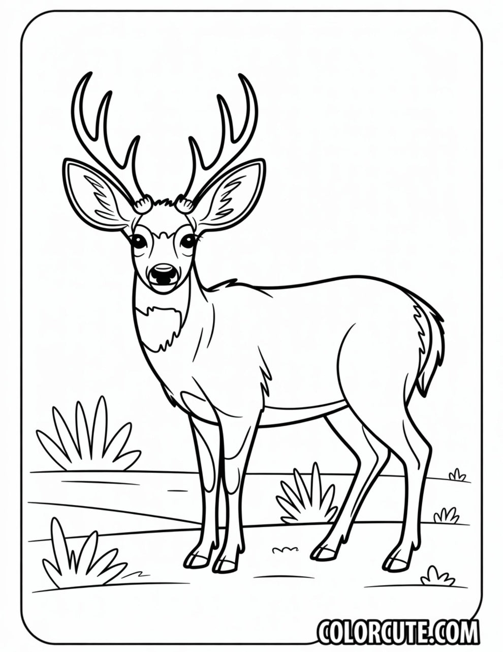 Buck Deer Coloring Pages - Free PDF Printables – Color Cute - Free ...